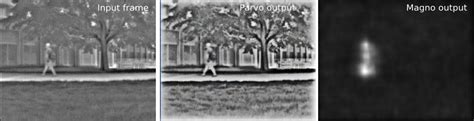 Opencv Bioinspired Module Retina Introduction