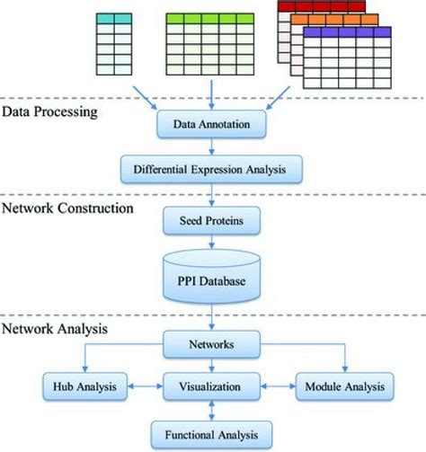 Networkanalyst Workflow Networkanalyst Accepts A Gene Protein List Download Scientific