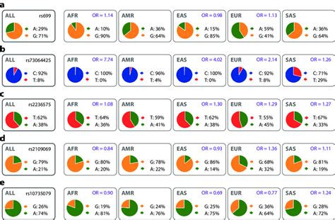 Allele Frequencies And Effect Sizes Of Genetic Variants Across Five Download Scientific Diagram