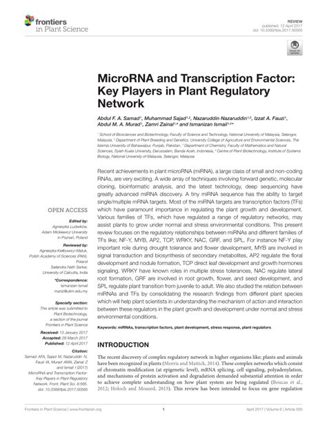 Pdf Microrna And Transcription Factor Key Players In Plant Regulatory Network