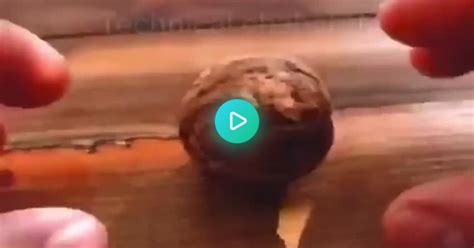 Bluetooth Speaker In A Nutshell Album On Imgur