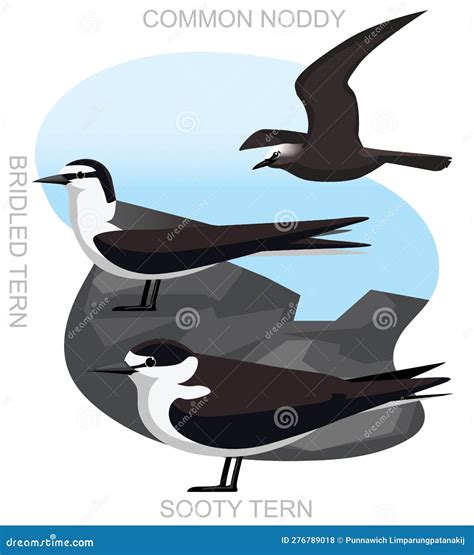 Cute Bird Sooty Tern Noddy Set Cartoon Vector Stock Illustration