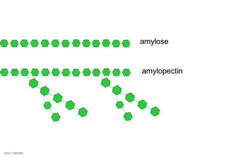What Is Resistant Starch And Why Your Diet Needs More Prana Thrive