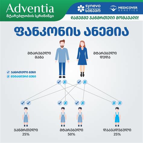 ადვენტია Synevo Synevolaboratoria ადვენტია Adventia Synevo