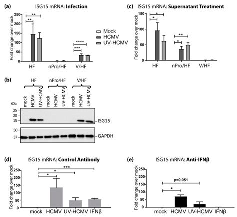 Interferon Independent Upregulation Of Interferon Stimulated Genes During Human Cytomegalovirus