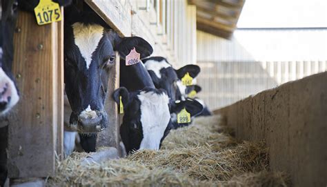 Eleri Morris Posted On Linkedin