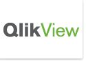 What Are The Differences Between The QlikView Server Editions