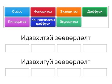 Мембранаар бодис зөөвөрлөгдөх хэлбэрүүд Group Sort