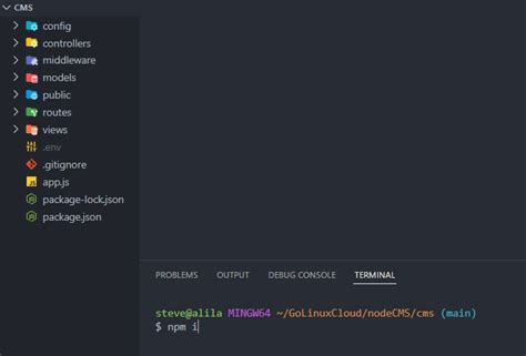 Implementing Nodejs Cms With Express And Mongodb Golinuxcloud