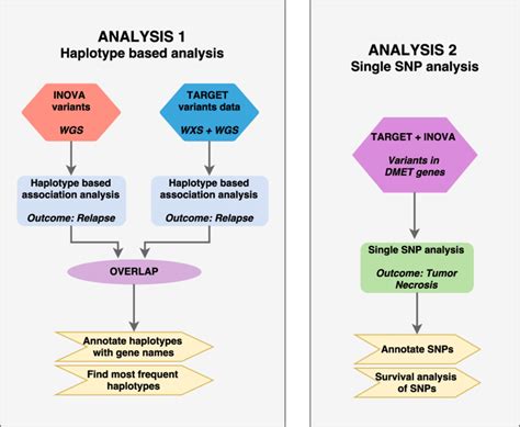 Schematic Of Analysis Methodology Download Scientific Diagram