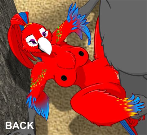 Rule 34 Aleta Aleta Hth Avian Breasts Female Furry Hth Studios