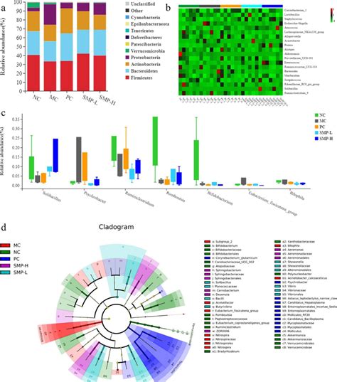 Species Composition Analysis Stacking Diagram Of Species Distribution Download Scientific