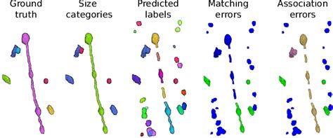 Synthetic Example Of Mitochondria Instance Segmentation Left To Right Download Scientific