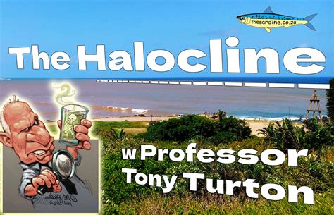 The Halocline Revisited With Professor Anthony Turton The Sardine News