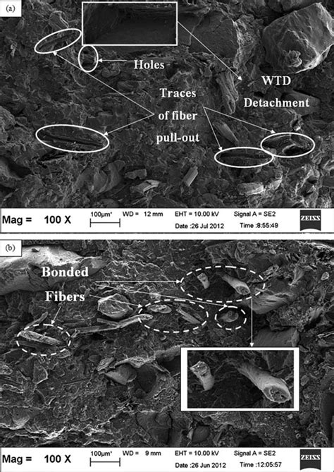 Sem Micrographs Of Tensile Fractured Surfaces Of Pp Wtd Knf 70 30 10 Download Scientific