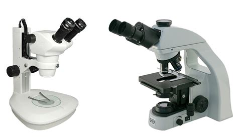 Dissecting Microscope Parts