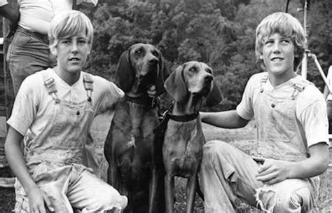 Where The Red Fern Grows Dogs