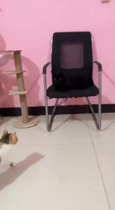 My Chair Album On Imgur