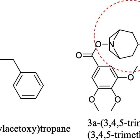 Illustration Of Already Reported Anticancer Tropane Alkaloids [14] Download Scientific Diagram