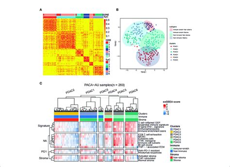 Classification Of Distinct Tumor Microenvironment Subtypes A