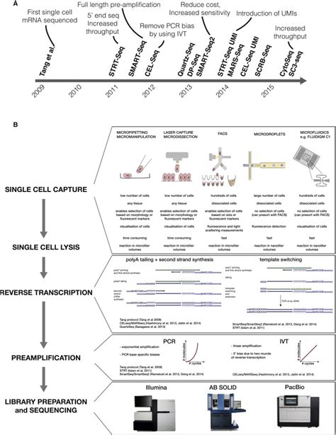 The Technology And Biology Of Single Cell RNA Sequencing RNA Seq Blog