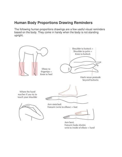 Mathematics Mathematics Schemes And Mind Maps Mathematics Docsity
