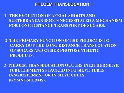 Ppt Phloem Translocation Powerpoint Presentation Free Download Id