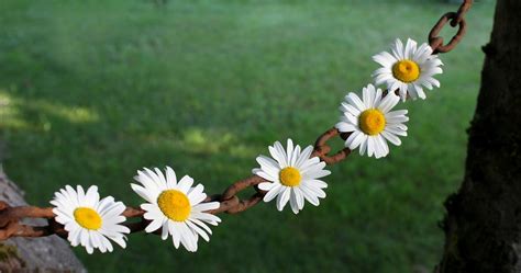 A Guide To Bash Commands Redirecting Chaining And Nesting By A S Said Ahmed Level Up Coding