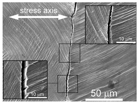 Role Of Persistent Slip Bands And Persistent Slip Markings In Fatigue Crack Initiation In