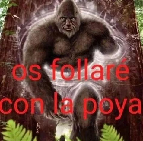 Os Follar Im Genes Humor Sticas Im Genes Graciosas Im Genes Divertidas