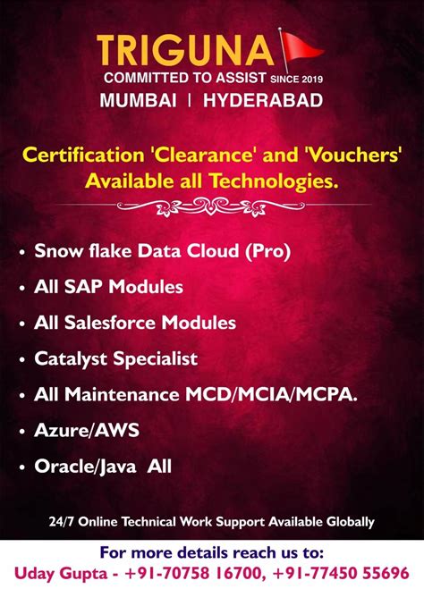 Sap Regular Online Classes Monday Sap Cpi Training Online Classes Triguna Udaygupta