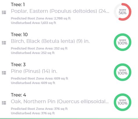 How Tree Matrix Works Tree Matrix
