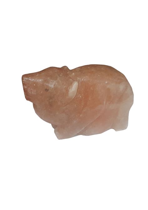 Mouse Shape Anaya Salt Crafts