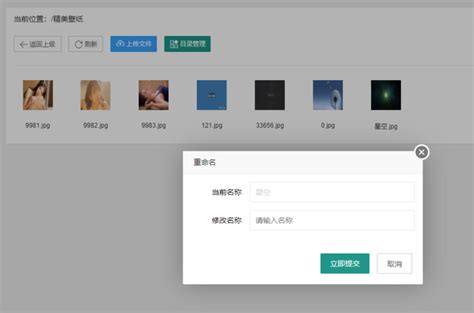 推荐一个开源文件管理系统，简单好用 Csdn博客