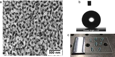 A Scanning Electron Microscopy Image Of A Fully Processed