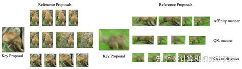 YoloV视频中目标实时检测依然很棒附源代码下载 知乎