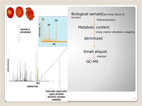 Met Ev 2 Pptx Metabolimics Genomics Approach Ppt