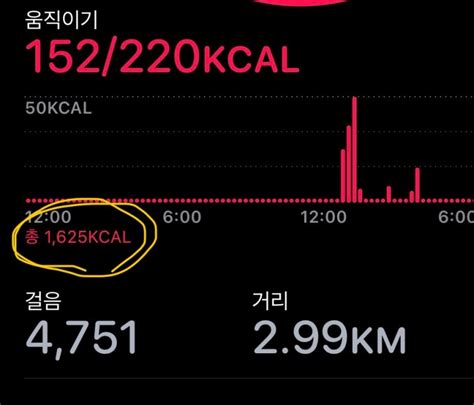 아이폰 피트니스 앱 아래 뜨는 칼로리 지식in