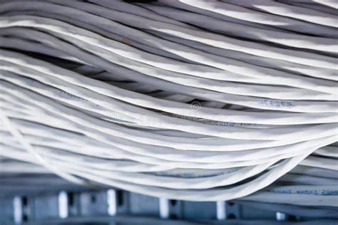 Bunch Of Network Cables In Wave Pattern Leading Across Server Ro Stock Image Image Of Detail