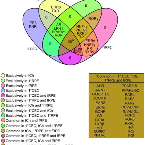 Commonly Expressed Nuclear Receptors In The Human Choroidal Tissue