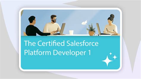 About Platform Developer 1