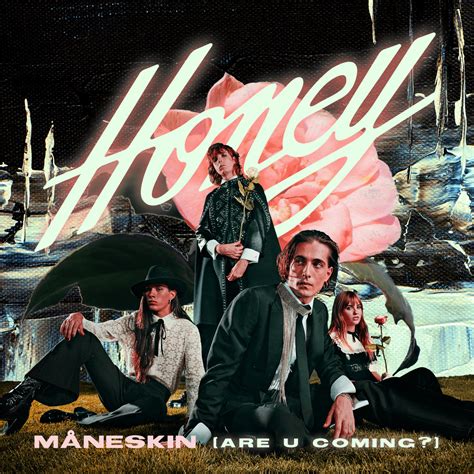 Måneskin Album Cover Behance