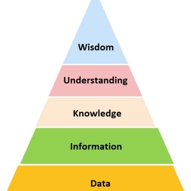 Hierarchy Of Knowledge Rosenberg Download Scientific Diagram