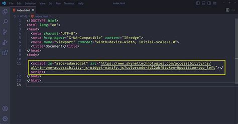Html Css Accessibility Widget Installation All In One Accessibility