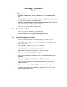 Cell Membrane Practice