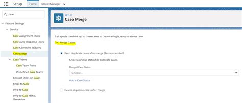 Amit Salesforce Salesforce Tutorial Case Merge Combine Duplicate Cases Spring Release