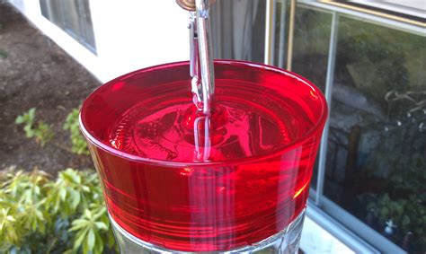 Do Ants Harm Fruit Trees Bugs Forum At Permies