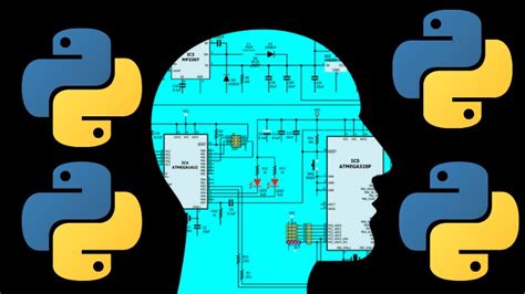 Python 3 And Data Science Mastery Practical Python 3 Coursevania
