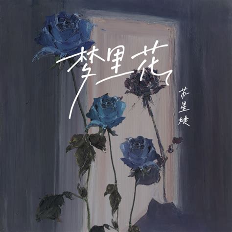 苏星婕《听悲伤的情歌》吉他谱 G调编配弹唱吉他谱 吉他堂