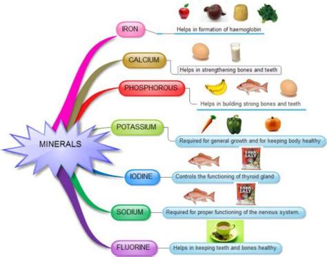 COMPONENTS OF FOOD MINERALS Mind Map Nutrition Science School